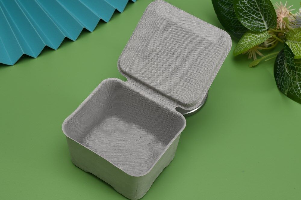Custom Molded Pulp Packaging | Eco-Friendly Bagasse Packaging Solutions
