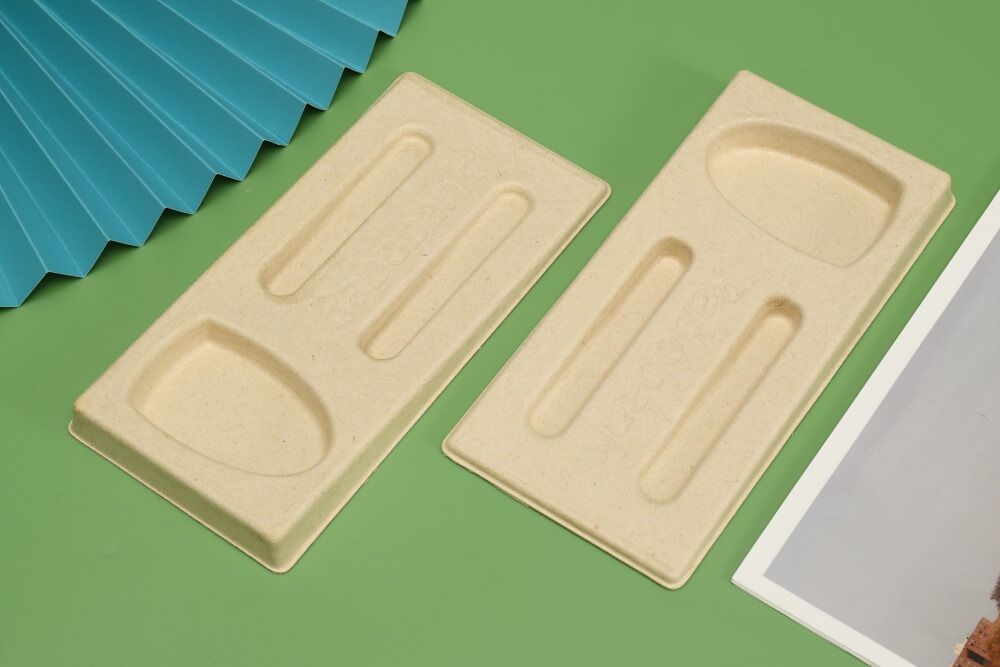 Custom Molded Pulp Packaging | Eco-Friendly Bagasse Packaging Solutions