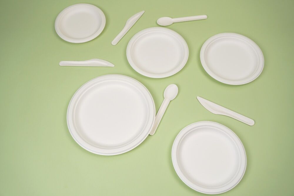 Eco-Friendly Plant-Based Round Bagasse Plates | Biodegradable Plates ...
