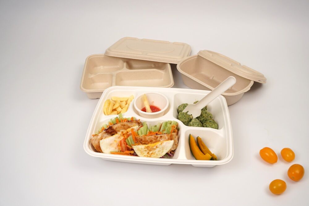 Bagasse Lunch Trays | Biodegradable Restaurant & Cafeteria Trays Wholesale