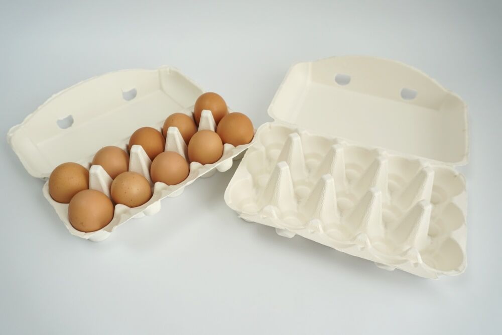 Custom Egg Cartons & Trays | Sustainable Pulp Molded Egg Packaging