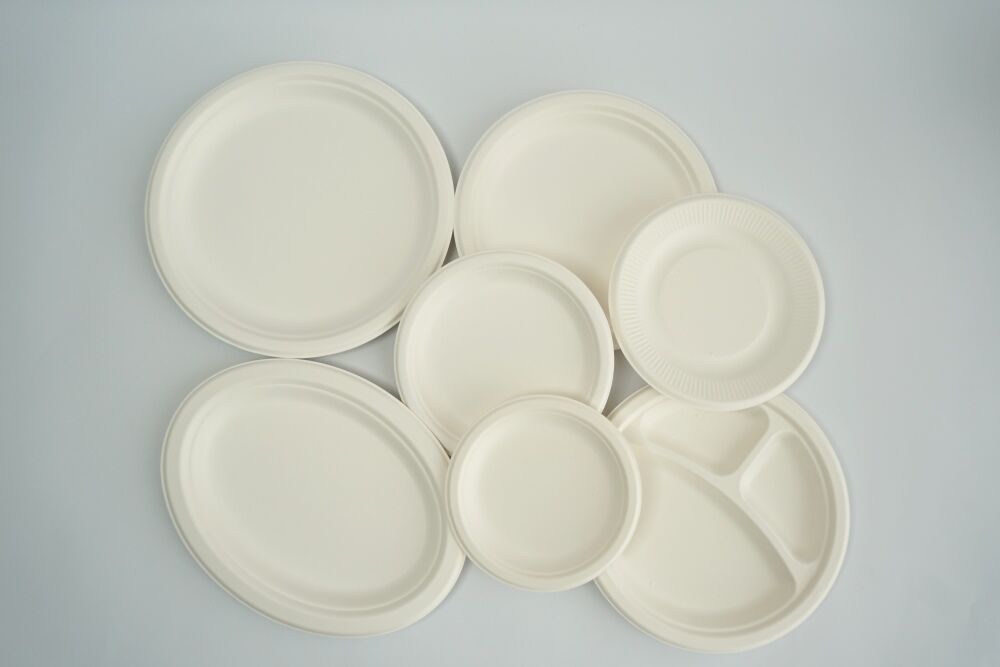 How to Select the Right Disposable Plate Size