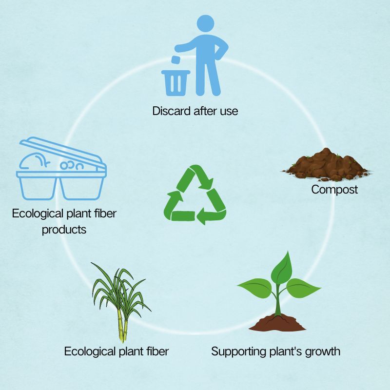 How Long Does Paper and Bagasse Packaging Take to Decompose? - InNaturePack