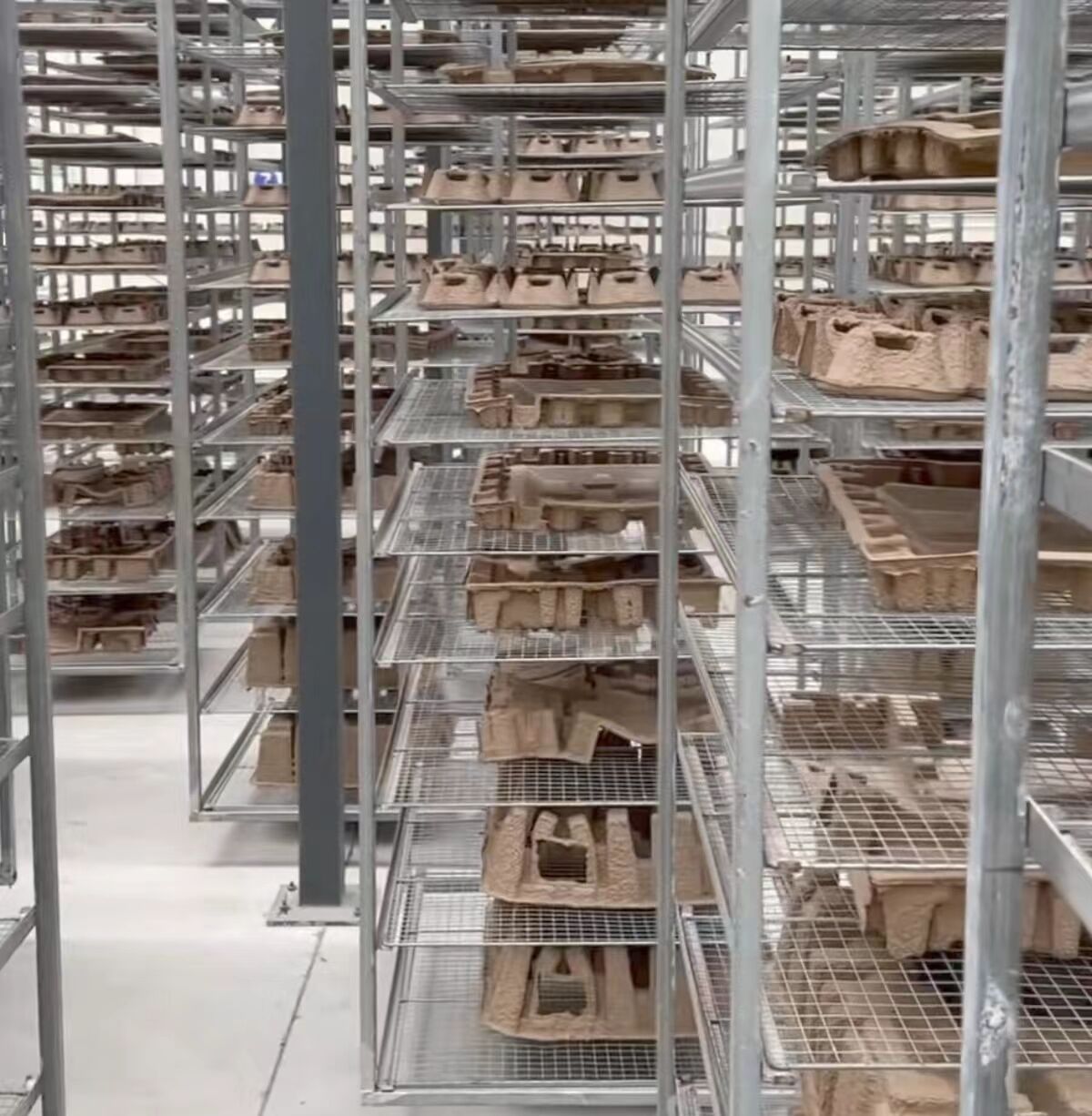 The Production Process of Pulp Molding - InNaturePack