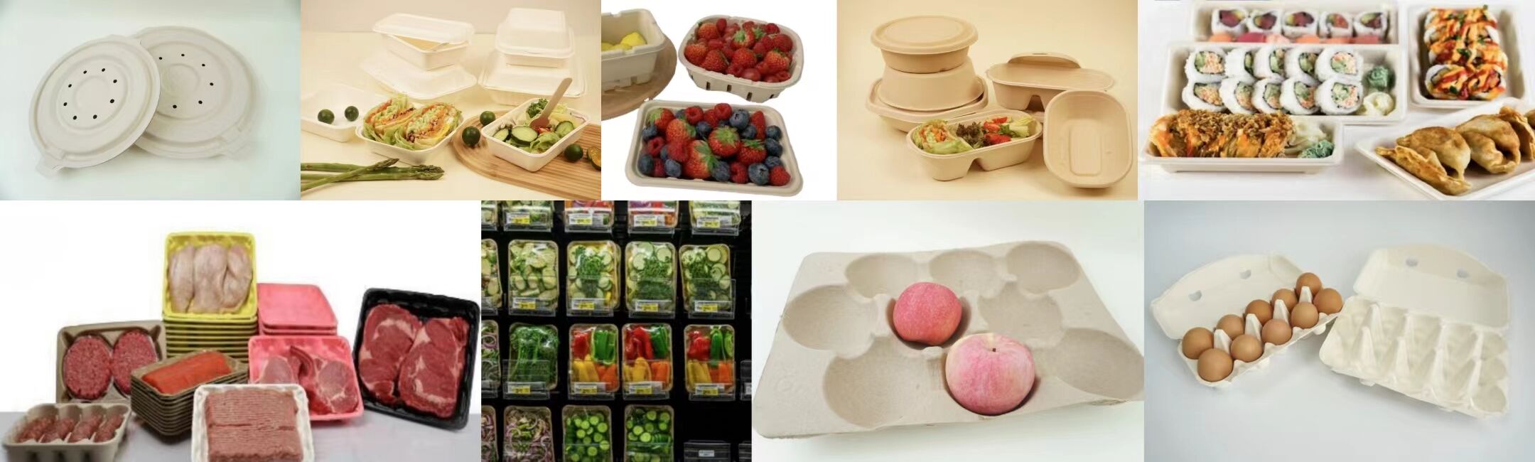Pulp Molding Market Overview and Application Fields Analysis - InNaturePack