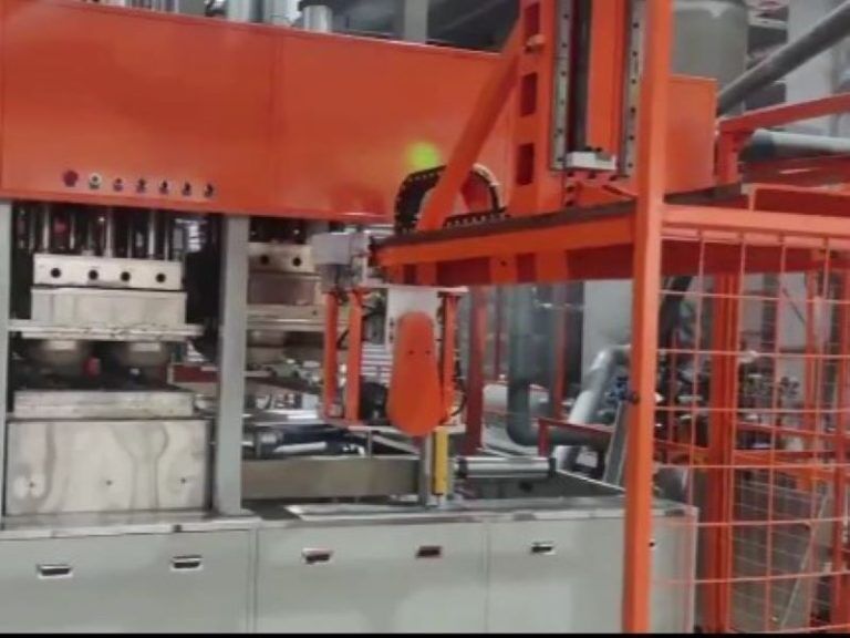 The Production Process of Pulp Molding - InNaturePack