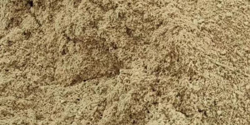 Pulp Molding: Guide to Raw Materials