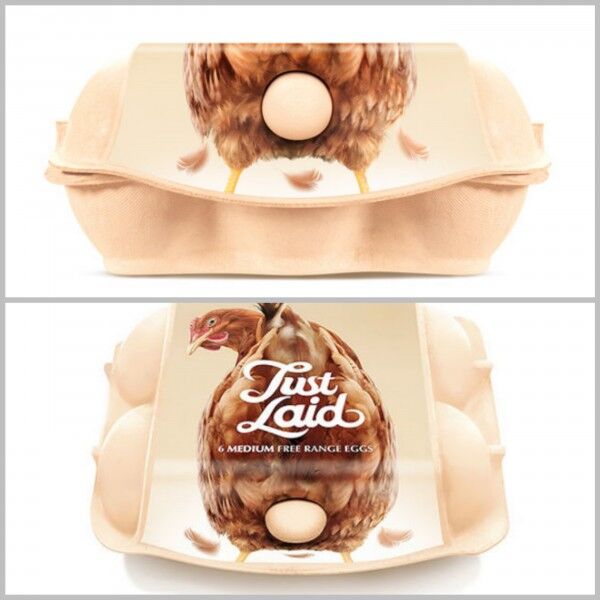 The Rise of Pulp Molded Egg Cartons: Sustainable Packaging for a ...