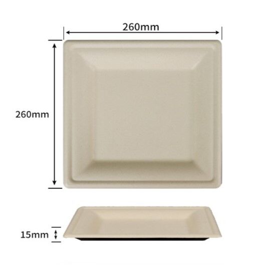 Elegant Disposable Plates | Heavy Duty Square Bagasse Plates for Any ...