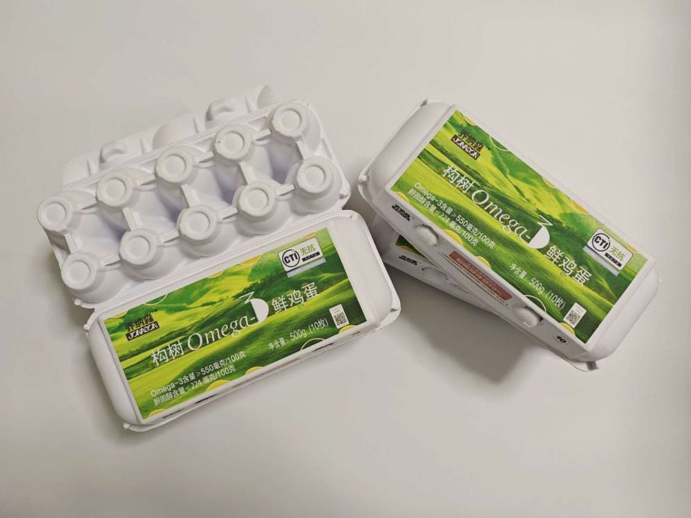 Custom Egg Cartons & Trays | Sustainable Pulp Molded Egg Packaging