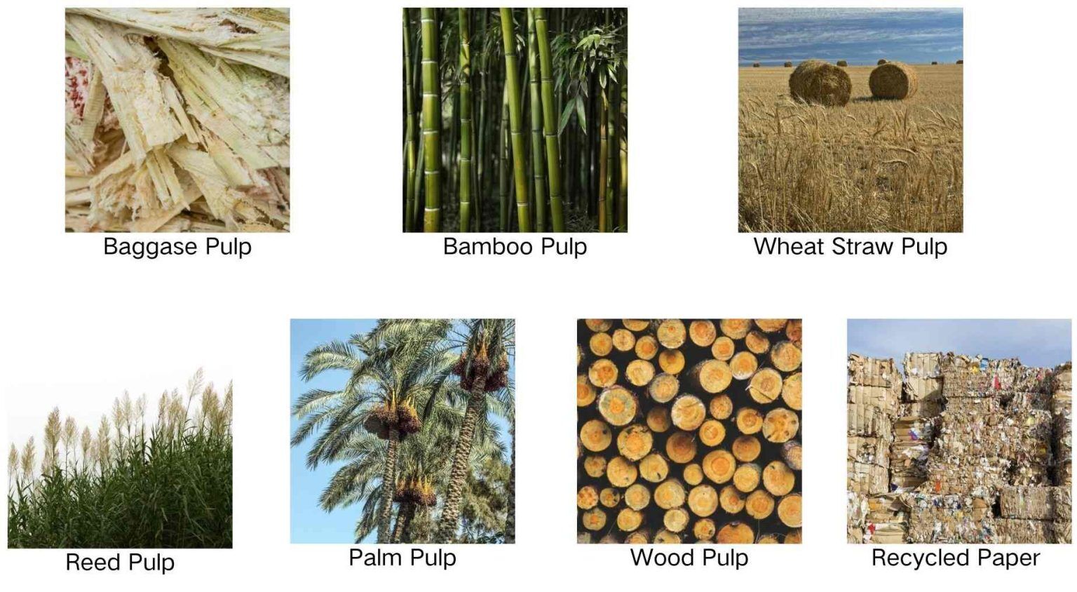 Comprehensive Guide to Molded Pulp Packaging