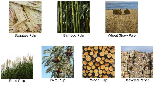 Comprehensive Guide to Molded Pulp Packaging