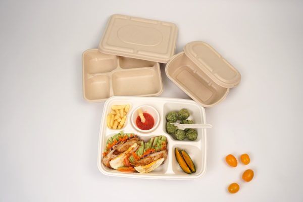 Hospital Food Trays & Healthcare Disposable Tableware: Safe, Hygienic ...