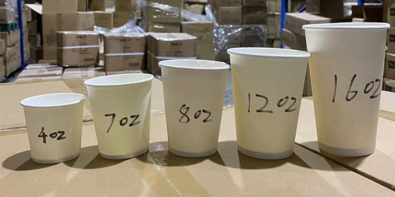 How Big is a Cup? Understanding Sizes in Eco-Friendly Beverage ...