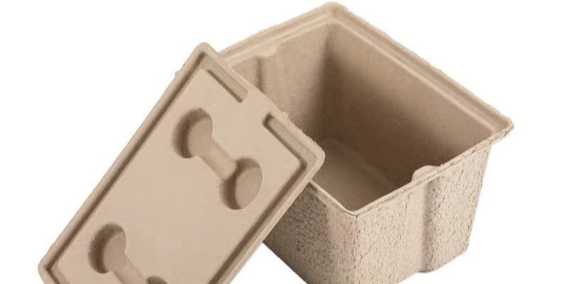 2025 Sustainable Packaging Trends You Need to Know - InNaturePack