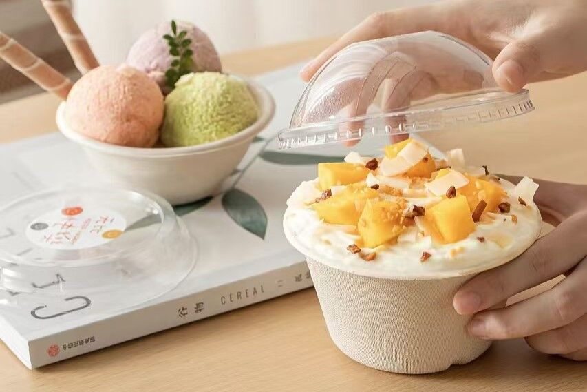 The Ultimate Ice Cream Cup Guide - InNaturePack