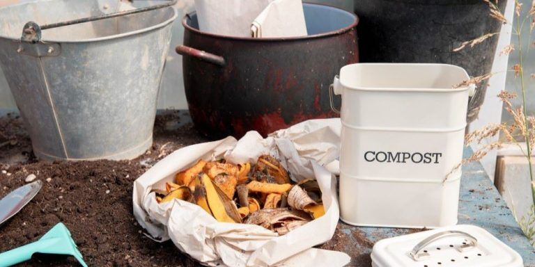 Recyclable vs Biodegradable vs Compostable: What’s the Difference ...