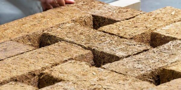 What is Bagasse and What Are Its Uses? - InNaturePack