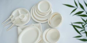 Are Paper Plates Recyclable? Understanding Your Options and ...