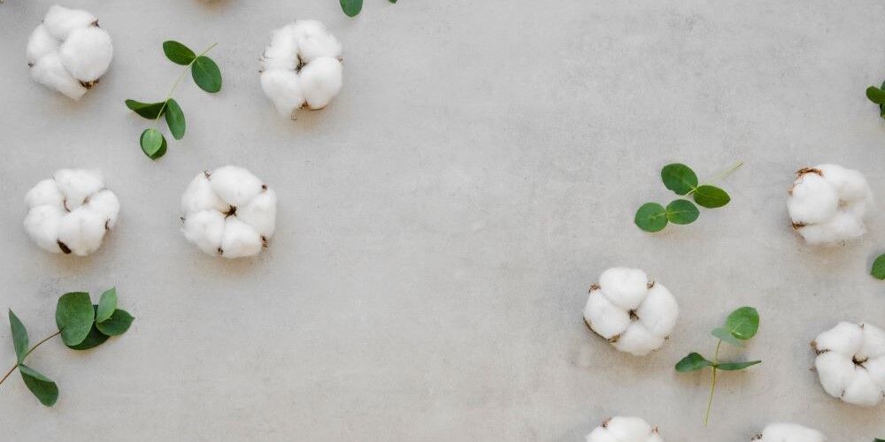 10 Examples of Renewable Materials and Their Benefits - InNaturePack