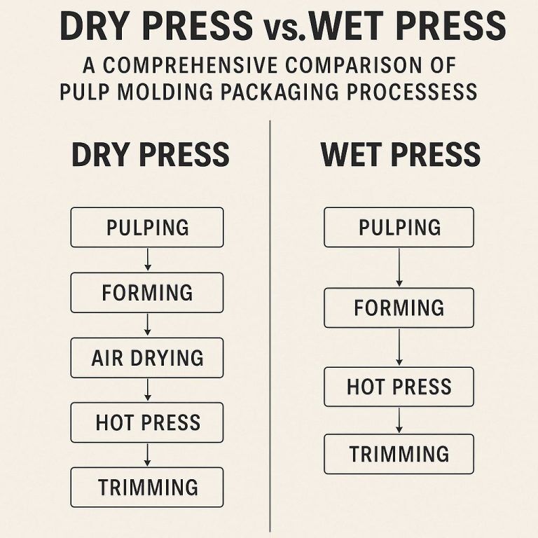 Dry Press vs. Wet Press: A Comprehensive Comparison of Pulp Molding ...