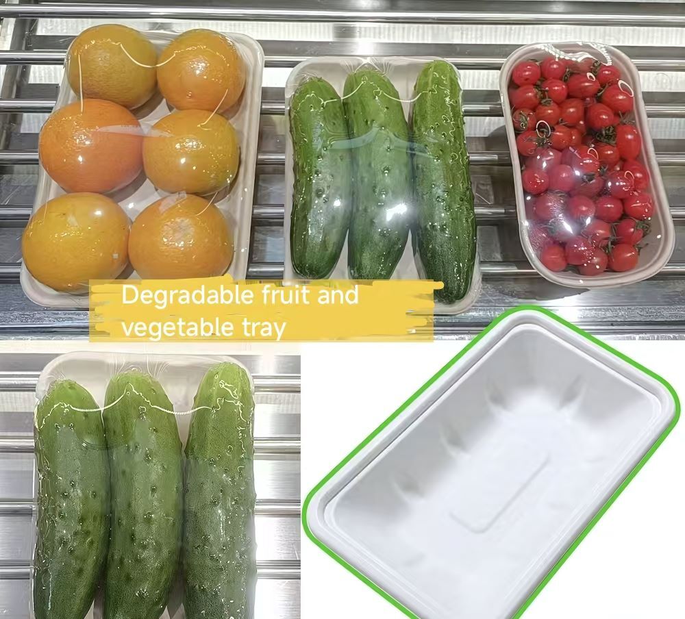 A Complete Guide to Food Service Trays: Types, Materials & How ...