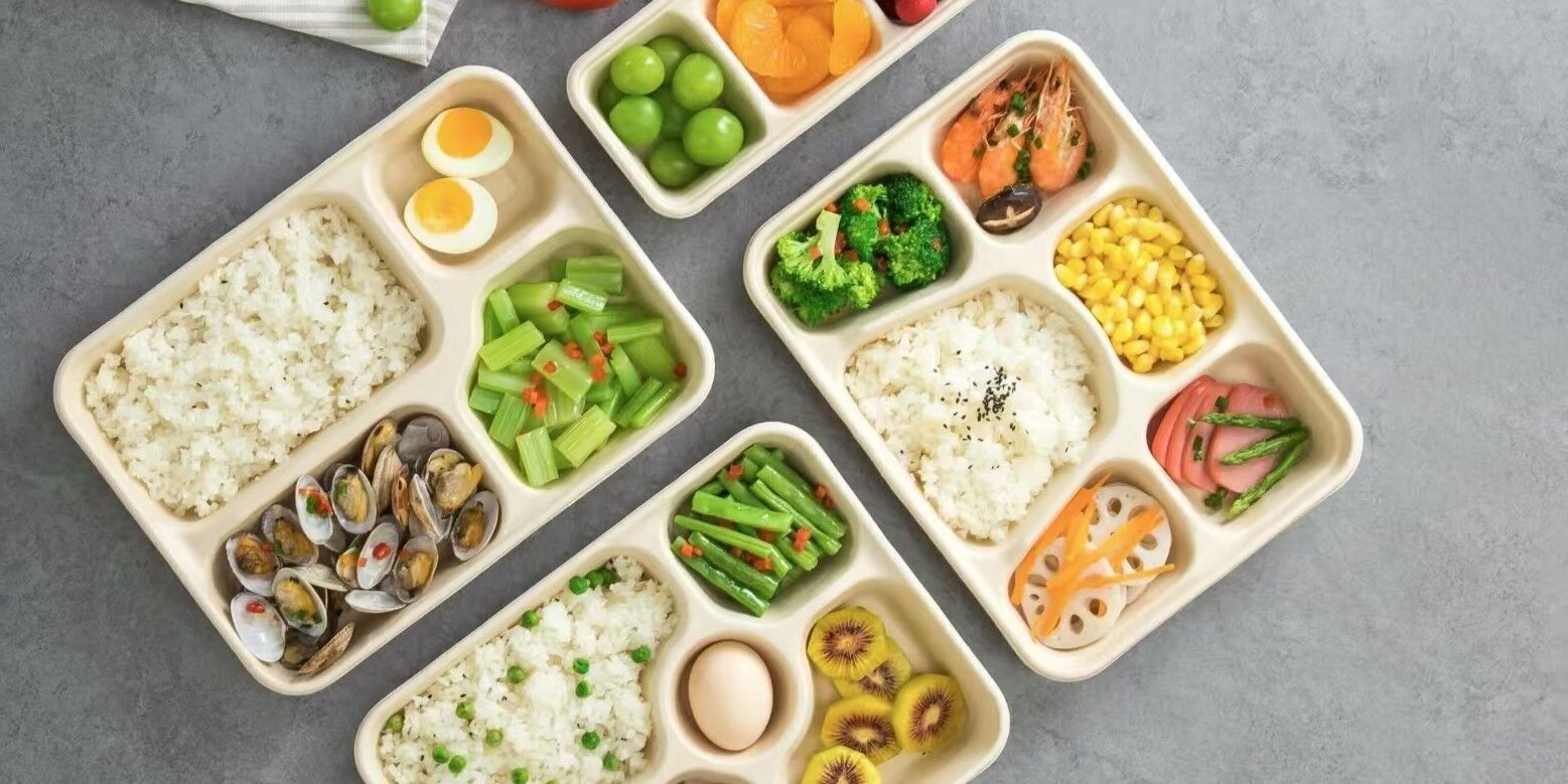 Hospital Food Trays & Healthcare Disposable Tableware: Safe, Hygienic ...