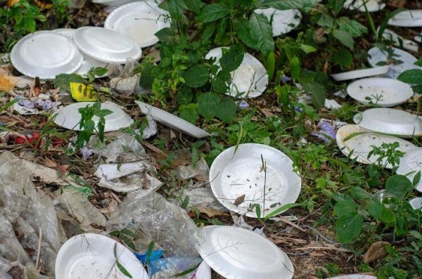 Are Paper Plates Recyclable? Understanding Your Options and ...