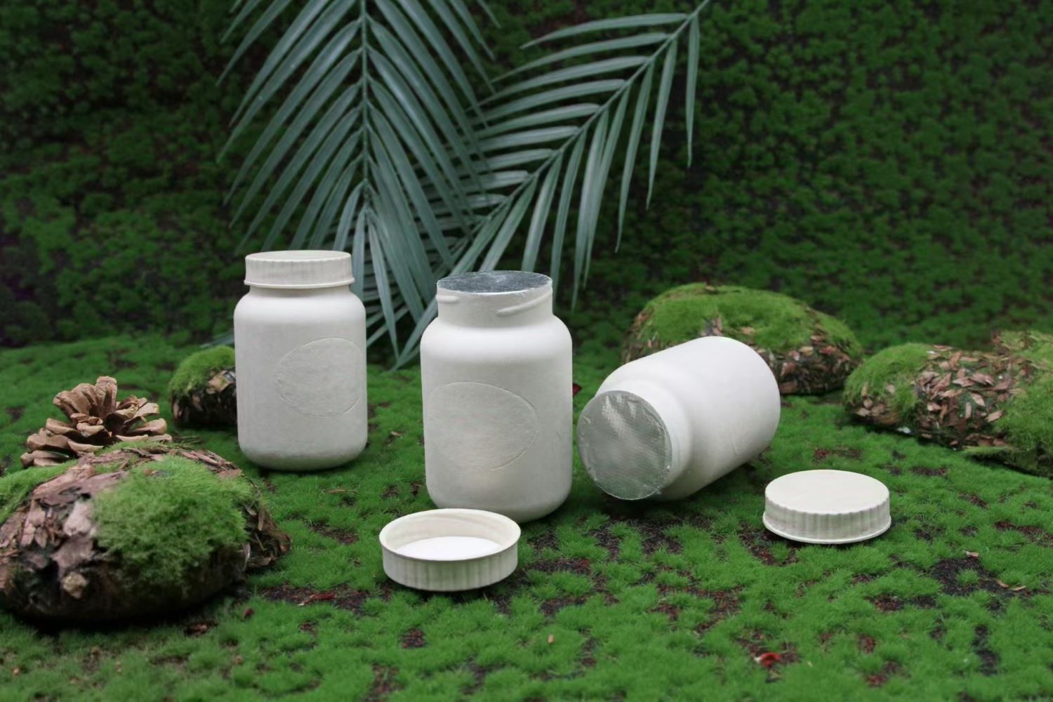 Plastic-Free Bagasse Bottles | Oil & Water Resistant Pulp Packaging ...