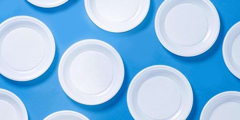 What Is the Safest Disposable Plate? - InNaturePack