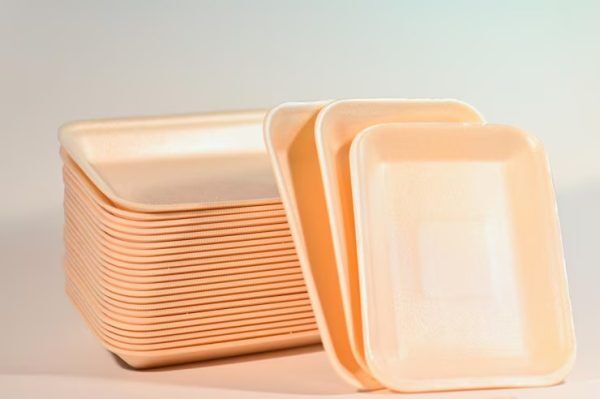 What Is the Safest Disposable Plate? - InNaturePack