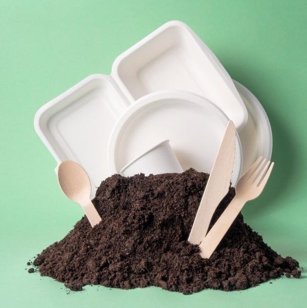 Bagasse Packaging: A Complete Guide for Sustainable Brands - InNaturePack